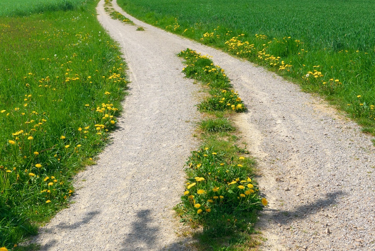 Unsplash Image - 오마이포토
